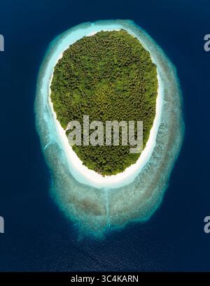 A lush, tropical island is fringed by a coral reef in the Solomon ...