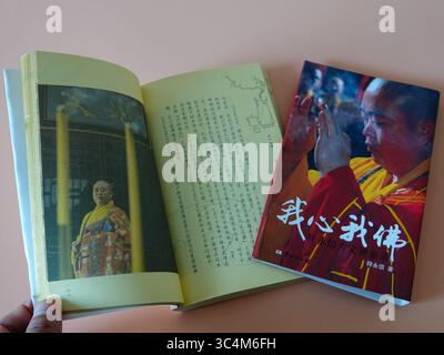 Books related to Shi Yongxin, the former abbot of Shaolin Temple ...