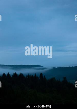 Evening landscape with fog, mountains and conifers Stock Photo - Alamy