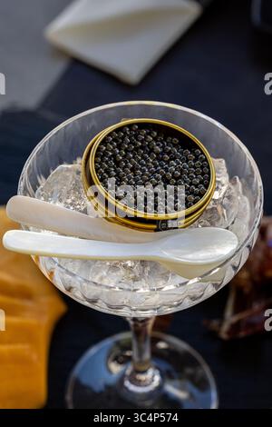 Fresh black fish roe. Beluga caviar served with ice with green Stock ...