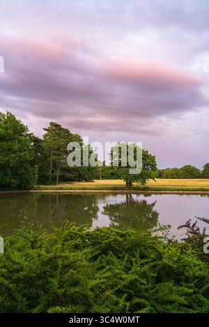 A vertical of a serene small lake surrounded by trees in a forest Stock ...