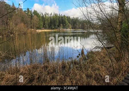The lake at Center Parcs, Longleat Forest Holiday Village, Warminster ...