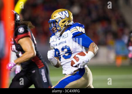 Winnipeg Blue Bombers running back Brady Oliveira (20) gains some yards on the ground before ...