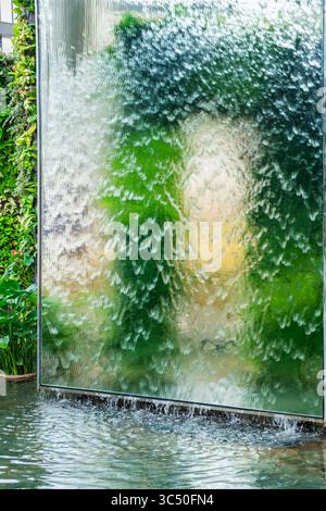 Green tropical plants in interior of room Stock Photo - Alamy