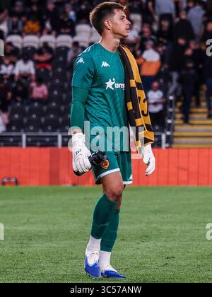 Hull City goalkeeper Ivor Pandur gives his team instructions during the ...