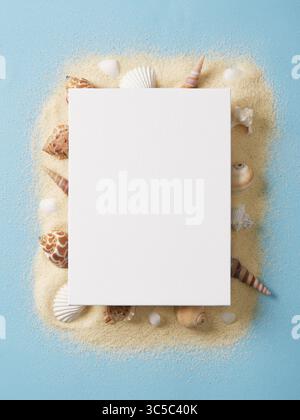 Seashells summer background. rectangular frame. Many different ...