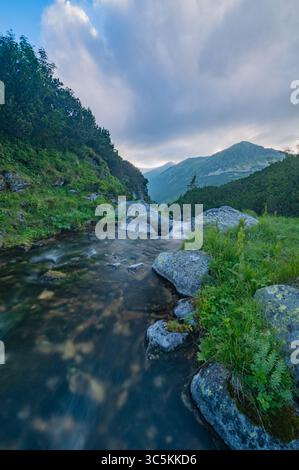 A beautiful view of Tatry Mountains against the blue sky with a green ...