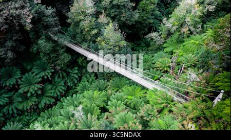Aerial view of Ferntrees in, Tarra Bulga, Balook, Victoria, New Zealand ...