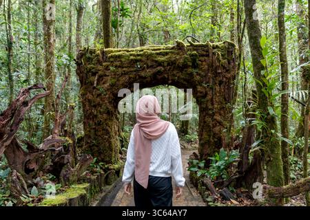 Asian woman leisure walk at Botanical garden in Kinabalu National park ...