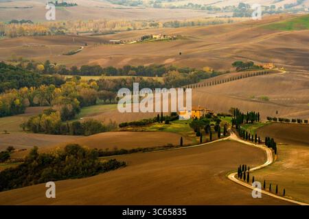 Countryside landscape with cypress trees among farm fields Stock Photo ...