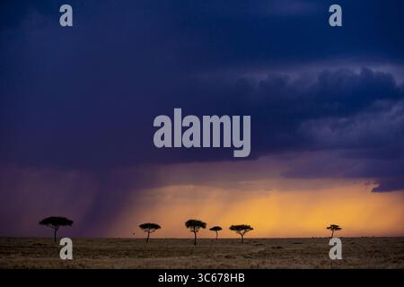 Rain clouds over the savanna plains in Tanzania Stock Photo - Alamy