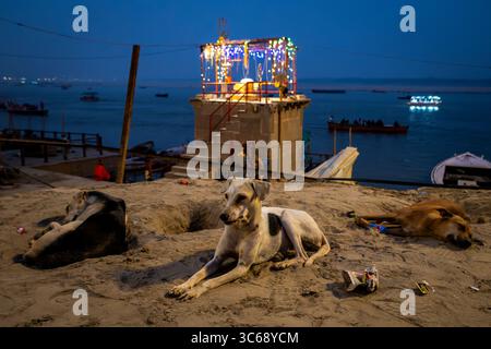 Pitru Yagna, on the ghats of Varanasi, India Stock Photo - Alamy