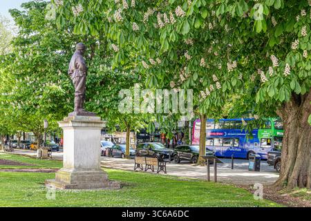 Delightful Horse chestnut, Aesculus hippocastanum, tree with green ...