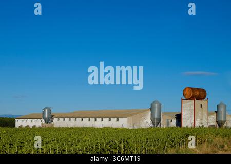Crop field in the province of Segovia Stock Photo - Alamy