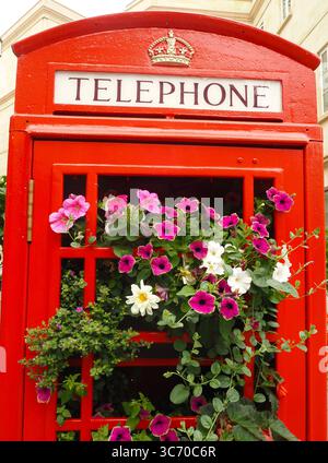 Re-purposed telephone kiosk with display of Summer flowers, Bath ...