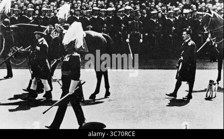 The funeral of King Edward VII, with his favourite dog following behind ...