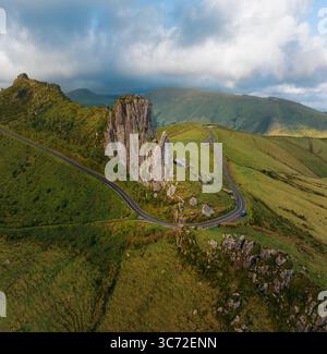 Breathtaking aerial view of winding roads in dense green woods Stock ...