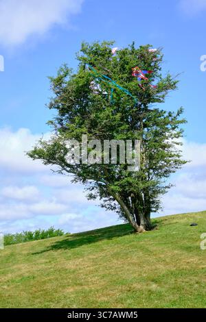 Many kites caught in top of tree, following kite festival Stock Photo ...