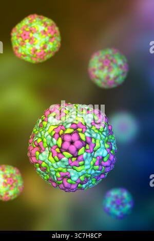 Illustration of enteroviruses. These are spherical, non-enveloped RNA ...