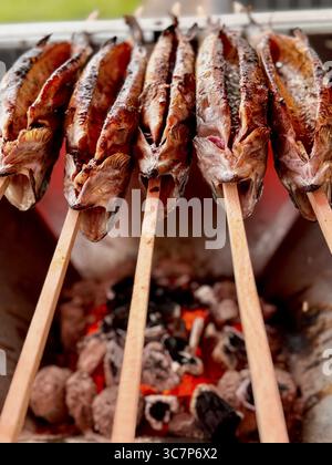 Grilled fish on skewers over open fire, outdoor cooking, barbecue ...