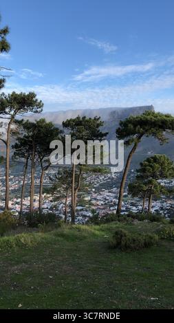 A breathtaking view of green forests in the background of a snowcapped ...