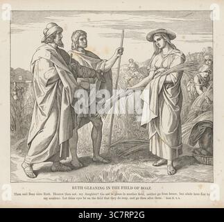 Biblical story, Ruth grooming the field of Boaz, a Judean landowner ...