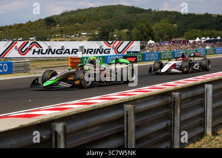 21 SHIELDS Cian (gbr), AIX Racing, Dallara F2 2024, action during the ...