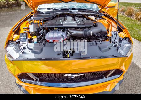 The Engine Bay of a Ford Mustang Stock Photo - Alamy