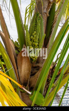Organic patterns of plant life, raw ecological textures of Finnish ...