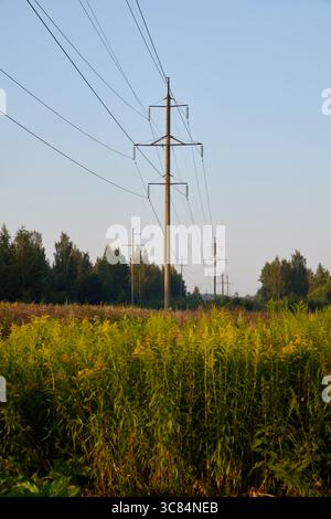 Power lines stretch across a lush, forested hilly landscape under a ...