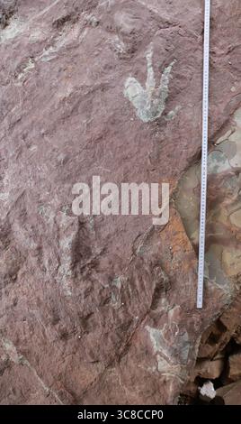 A photo shows Dongxing, Guangxi Zhuang autonomous region, which borders ...