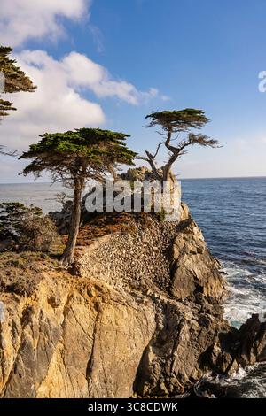 Monterey Cypress on a Rocky Coast at Point Lobos State Natural Reserve ...