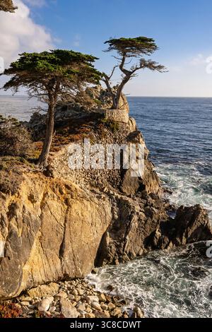 Monterey Cypress on a Rocky Coast at Point Lobos State Natural Reserve ...
