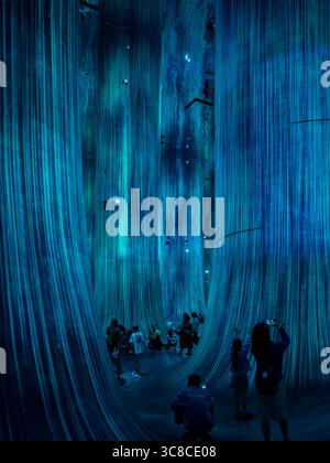 Teamlab phenomena,New tourism place in Abu Dhabi Teamlab phenomena 14 ...