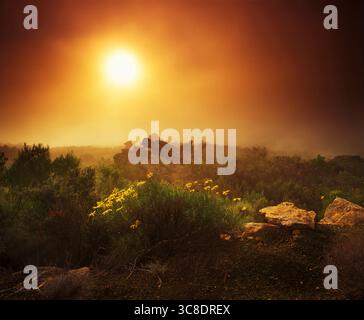Cedarberg Wilderness Area - South Africa Stock Photo - Alamy