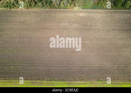 Aerial view of tilled and cultivated field , Andhra Pradesh , India ...