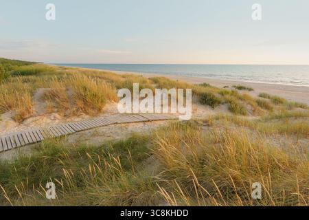Dunes at Baltic sea, Liepaja, Latvia Stock Photo - Alamy