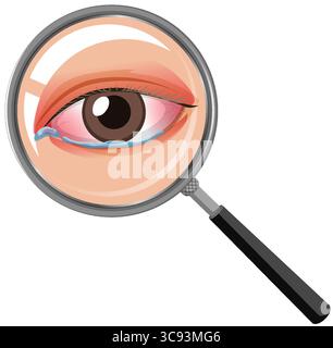 Realistic eye anatomy. Medical detailed illustration of eye layer ...