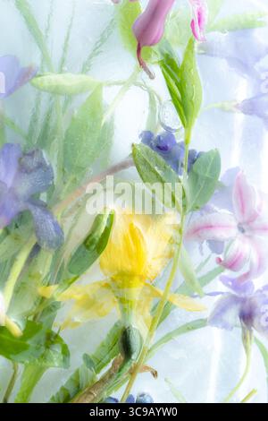 Full-frame background of blue Muscari flowers with green stems. Great ...