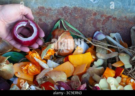 Collected organic waste from vegetables in kitchen Stock Photo - Alamy
