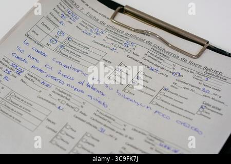 Iberian lynx growth data, Centro de Cría del Lince IbéricoEl Acebuche ...