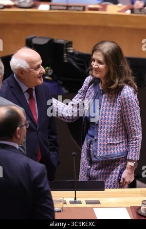 Ambassador Dorothy Shea of the United States speaks at a United Nations ...