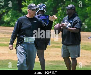 Baltimore Ravens offensive coordinator Todd Monken looks on during pre ...