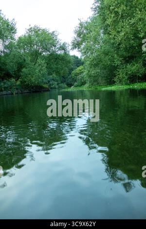 A river surrounded by dense green trees Stock Photo - Alamy