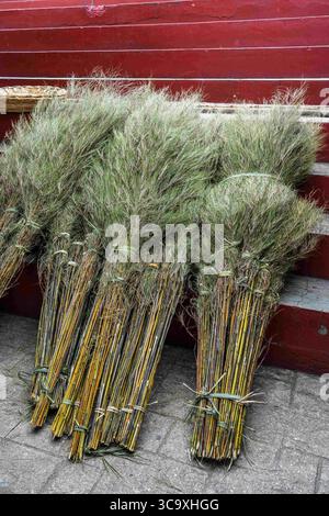 Natural brooms for sale at the weekly market in Zaachila, Oaxaca ...