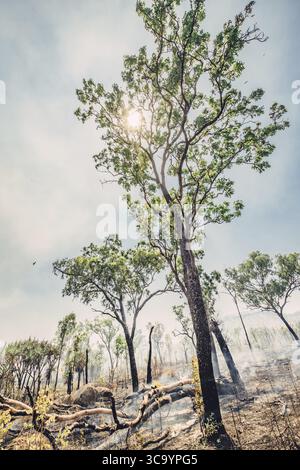 Bushfires in the Australian outback Stock Photo - Alamy