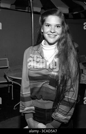 Connie Needham Circa 1980’s. Credit: Ralph Dominguez/MediaPunch Stock ...