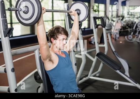 Dumbbells on barbell weight plates, Christmas tree branches on snow ...