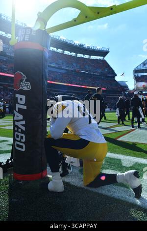 Pittsburgh Steelers defensive end DeMarvin Leal (98) works against ...