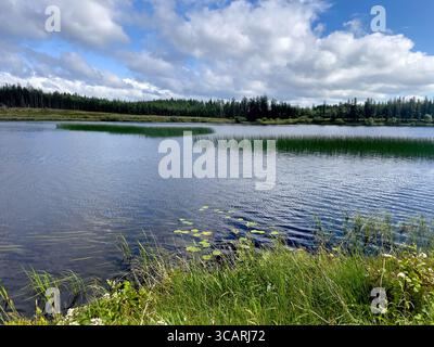 Scenic view on Meenameen lake in Lough Navar Forest in Co. Fermanagh ...